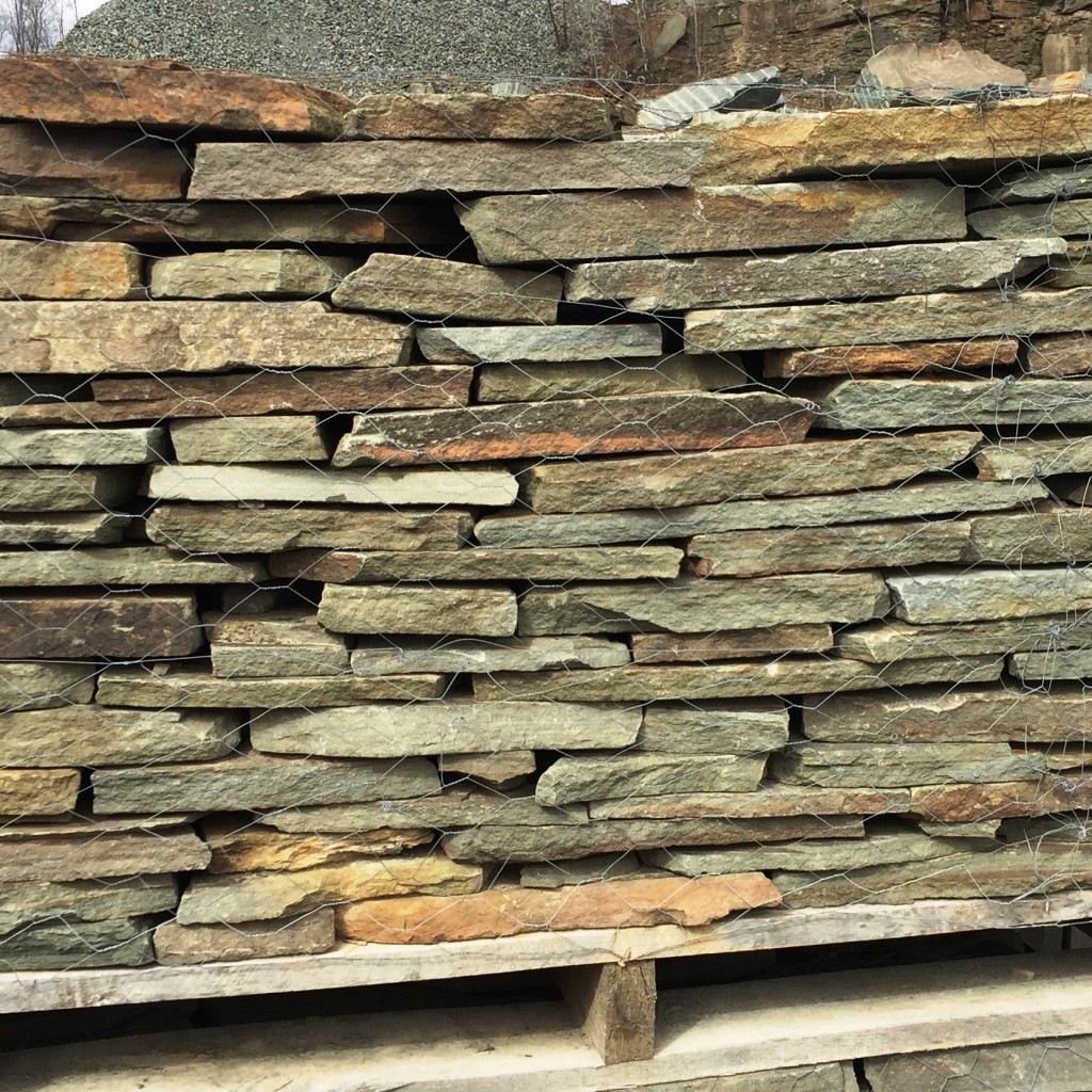 Gallery @ Schaefer Enterprises