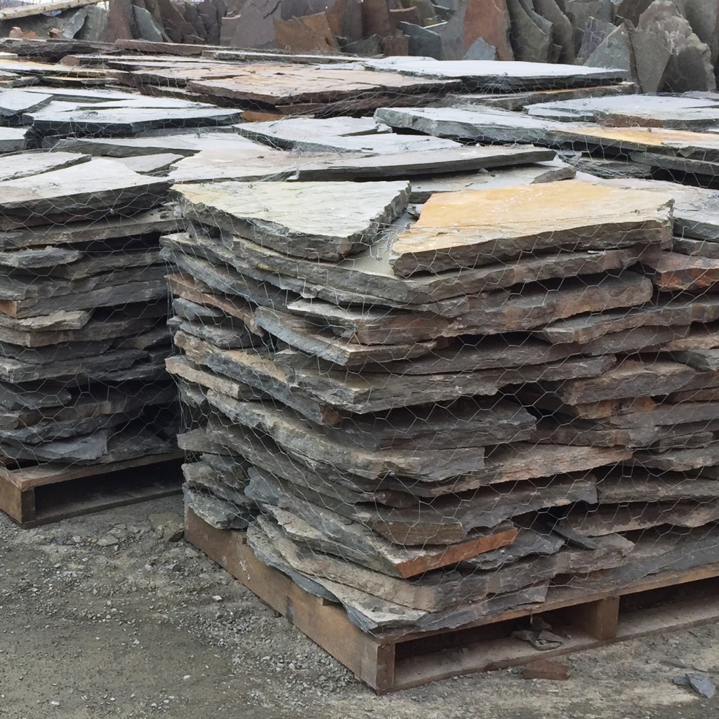 Gallery @ Schaefer Enterprises