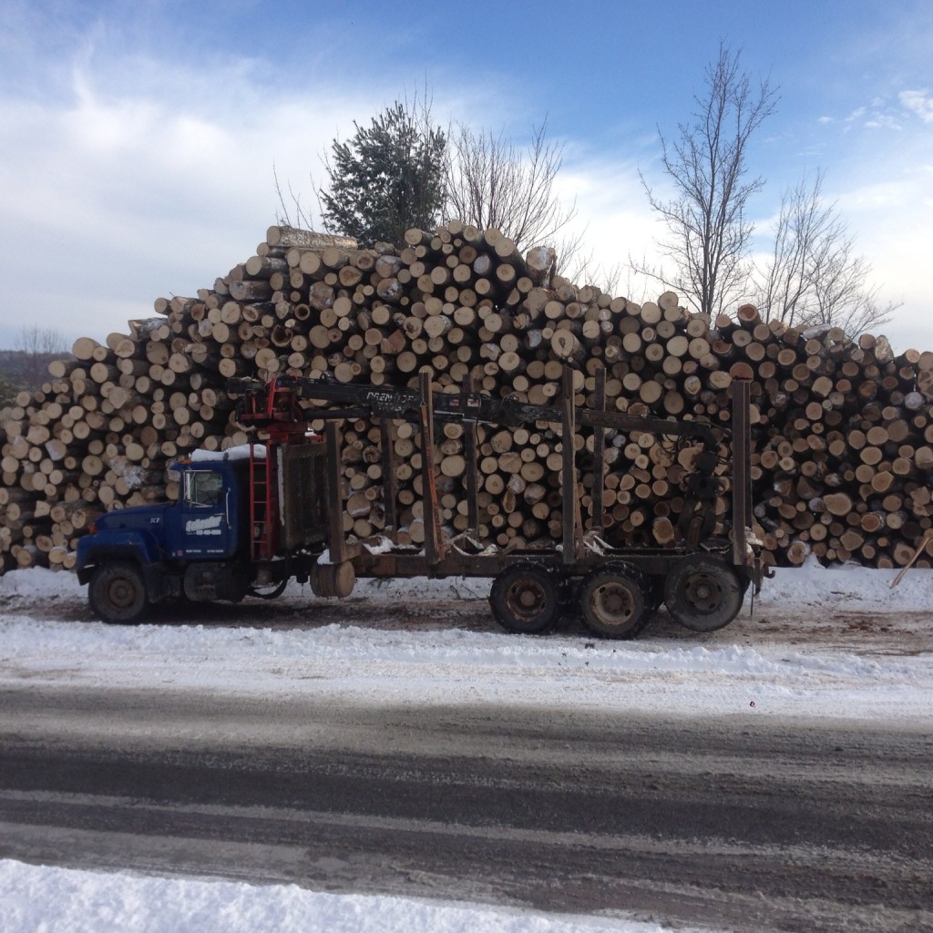 Gallery @ Schaefer Enterprises