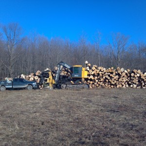 Gallery @ Schaefer Enterprises