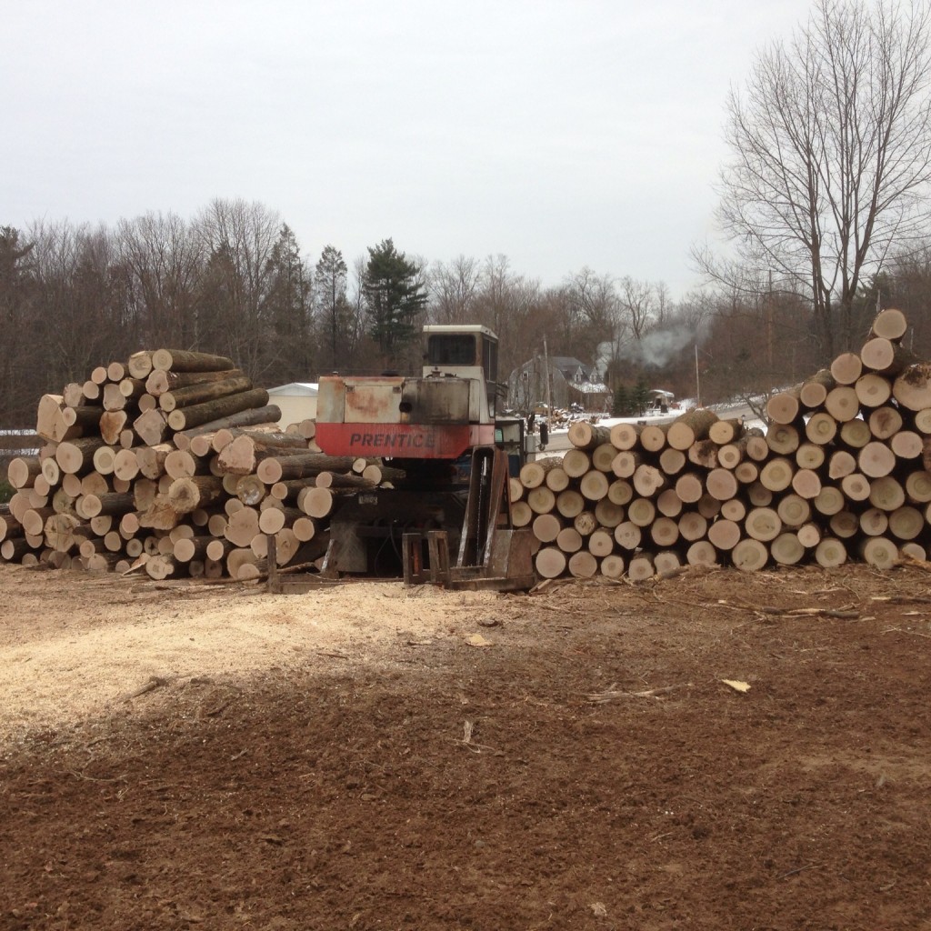 Gallery @ Schaefer Enterprises